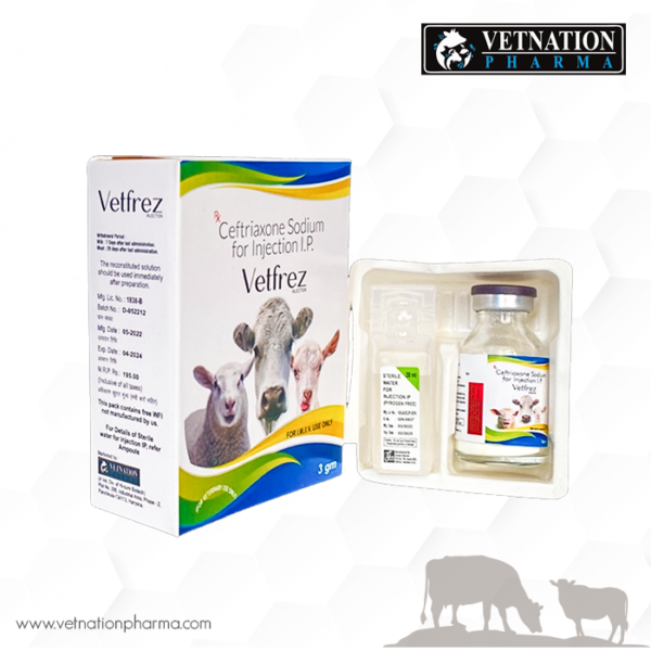 Explore Our High Quality WHO-GMP Certified Products Range : Vetnation ...