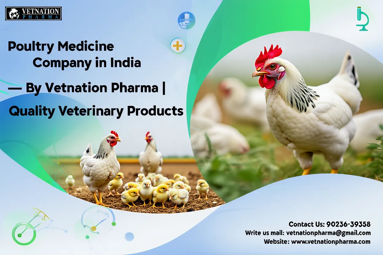 Poultry Medicine Company in India – By Vetnation Pharma | Quality ...